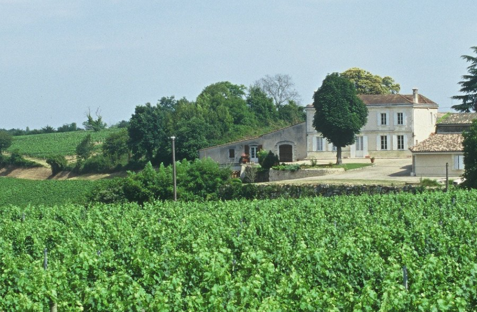 Chateau Villars 2021 Fronsac - Vinodi.cz